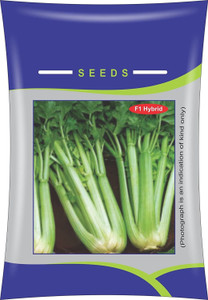 Biosnyg Celery Imported Exotic Seeds Kitchen Gardens Packet 250 Seeds ...