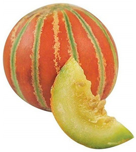 ActrovaX Greens Muskmelon (Kharbuja) Fruit [5gm Seeds] Seed Price in ...