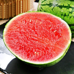 WILLVINE Hight Germination Red Watermelon Seeds Seed Price in India ...