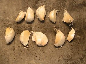 Biosnyg Garlic Bulbs Cloves -Varities Like Marco - Dario - Germidour ...