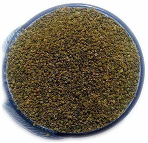 Biosnyg Apium Graveolens Celery Seed - Ajmod seed - Ajmod Beej - Wild ...