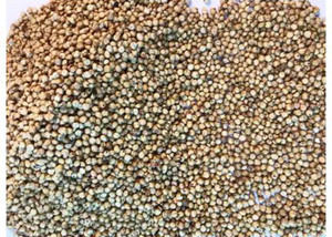 Unik Pure Natural Bajra/Kambu Grains for all Birds Food Nuts 1 kg Dry ...