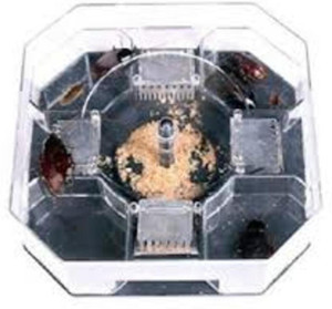 Electric Insect Killer Price in India - Buy Electric Insect Killer ...