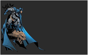 Batman Flex Poster For Room Mo-583 Photographic Paper - Animation ...