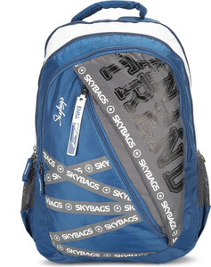 SKYBAGS RIDDLE 31 L Backpack Blue Grey - Price in India | Flipkart.com
