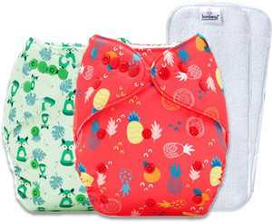 bumberry Reusable 2 Pocket Cloth Diaper With 2 Microfiber Insert For ...