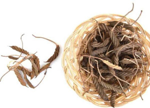 plantsworld Mardashingi, Screw Fruit, Helicteres isora, Marod Fali Seed ...