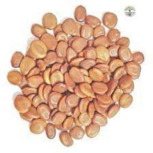 Ravel Siris Tree Seeds/Albizia lebbeck Shirisha/flea tree/siris tree ...