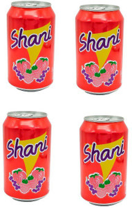 Shani FRUIT FLAVOURED DRINK IMPORTED ( UAE ) 300ml ( Pack of 4 ) 1200ml ...