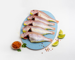 Nandus Pink Perch Whole Price in India - Buy Nandus Pink Perch Whole ...