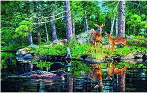 Deer Flex Poster For Room Mo-773 Photographic Paper - Nature posters in ...