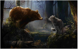 Bear Flex Poster For Room Mo-216 Photographic Paper - Animals posters ...