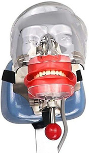 NMD NEXUS MEDODENT Dental Chair Phantom Head Model Dental Elevator ...