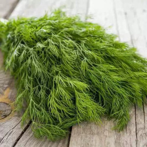 Aro Dill, Soya Seed Price in India - Buy Aro Dill, Soya Seed online at ...