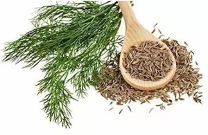 MAA Dill, Soya Seed Price in India - Buy MAA Dill, Soya Seed online at ...