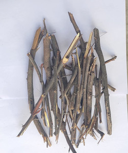 RUKDA Babul Tree Wood / Babul ki lakdi - 250gm Price in India - Buy ...