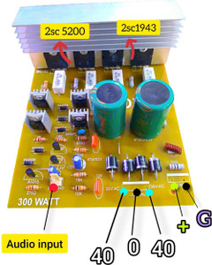 BBofficial 300 Watt Mono Amplifier Board with Inbuilt Power Supply ...