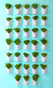 Blume planters Prism Indoor and Outdoor Wall Hanging Planter -Pack of ...