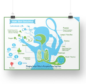 Science Poster for Kids - Respiratory System - Size A3 - 11.7 X 16.5 ...