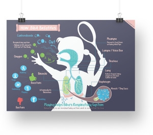 Science Poster for Kids - Respiratory System - Size A3 - 11.7 X 16.5 ...