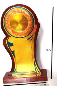 Momentoes 9 Inch golden shield for Appreciation Gift, Sport, Academy ...