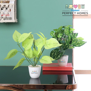 Flipkart Perfect Homes Artificial Plant with Pot Price in India - Buy ...