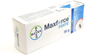 Bayer Maxforce Forte Gel For Cockroaches Control -30 Gm - Buy Baby Care ...