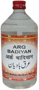 DEHLVI Amber Arq Badiyan (500ml) (Pack Of 2) Price in India - Buy ...