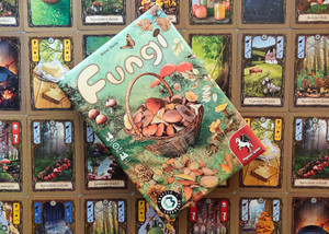 Cryptic Cardboard Fungi (Morels) Card Game - Fungi (Morels) Card Game ...