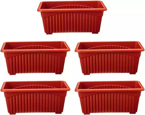 Ramanuj (Pack of 5)Jupiter Rectangular Plastic Pots Window Display ...