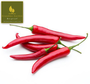 Handymade High Quality Andhra HOT Red Chilli Seed Price in India - Buy ...