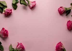 Flower POSTER, Rose POSTER, Rose Flower Poster for Wall, Flowers Poster ...