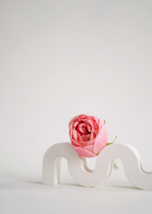 Flower POSTER, Rose POSTER, Rose Flower Poster for Wall, Flowers Poster ...