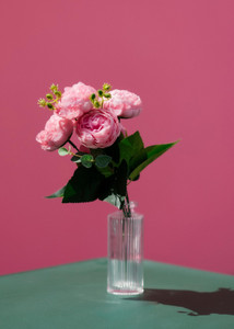 Flower POSTER, Rose POSTER, Rose Flower Poster for Wall, Flowers Poster ...