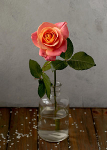 Flower POSTER, Rose POSTER, Rose Flower Poster for Wall, Flowers Poster ...