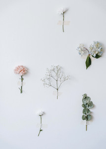 Flower POSTER, Rose POSTER, Rose Flower Poster for Wall, Flowers Poster ...