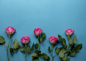 Flower POSTER, Rose POSTER, Rose Flower Poster for Wall, Flowers Poster ...