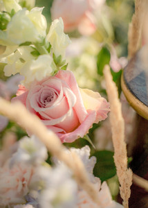 Flower POSTER, Rose POSTER, Rose Flower Poster for Wall, Flowers Poster ...