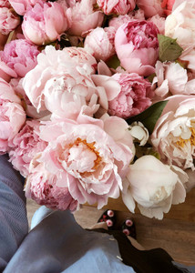 Flower POSTER, Rose POSTER, Rose Flower Poster for Wall, Flowers Poster ...