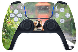 GADGETSWRAP 2005SHFL-813 cute corgi PS5 Controller Skin Gaming ...