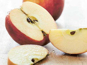 ALPINE HYBRID SEEDS APPLE, FRUITS, FRUITS SEEDS, FOR HOE GARDENING ...