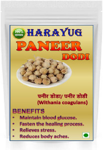 HARAYUG Paneer Dodi - Paneer Doda - Paneer Fruit - Paneer Phal ...