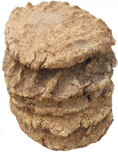 shanu enterprises Pure & Original Cow Dung Cake Organic Gobar Ka Upla ...