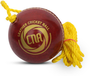 Snaga Practice Hanging Ball, String Cricket Ball with Rope Cricket ...