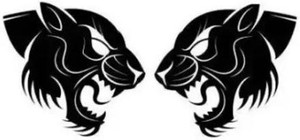 dayanidhi enterprises Sticker & Decal for Car & Bike Price in India ...