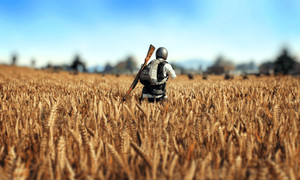 Online Collection 30.48 cm Pubg Sticker Poster, gaming stickers, (18 ...