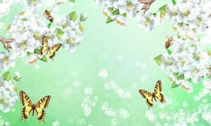 butterfly poster & Titli POSTERS, Dragonfly Poster, Insects Poster ...