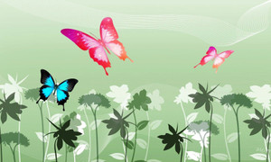 butterfly poster & Titli POSTERS, Dragonfly Poster, Insects Poster ...
