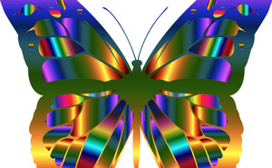 butterfly poster & Titli POSTERS, Dragonfly Poster, Insects Poster ...