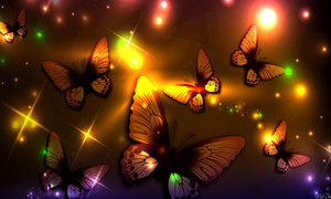 butterfly poster & Titli POSTERS, Dragonfly Poster, Insects Poster ...